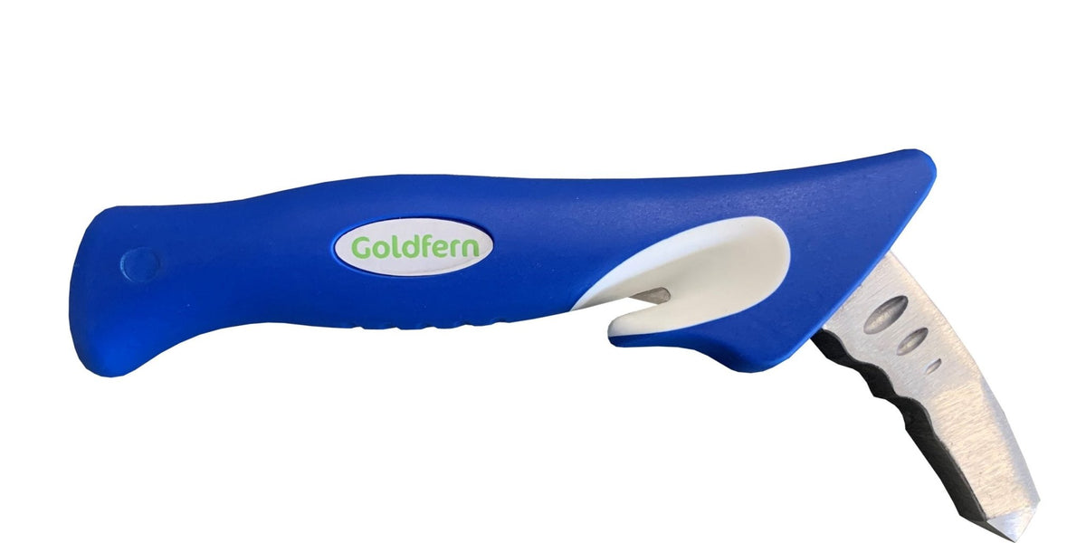 Car Transfer Aids – Safer Mobility Support | Mobility Plus NZ