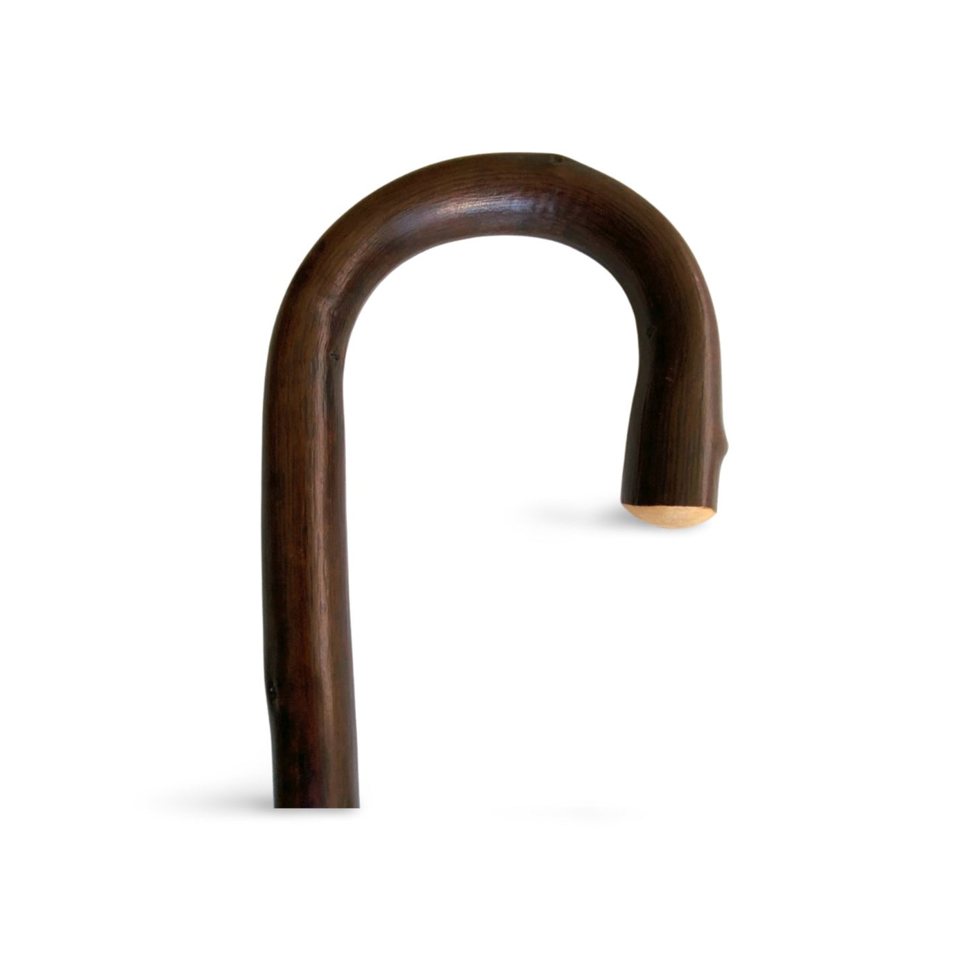 Walking Cane - Handcrafted Chestnut Timber | Mobility Plus NZ