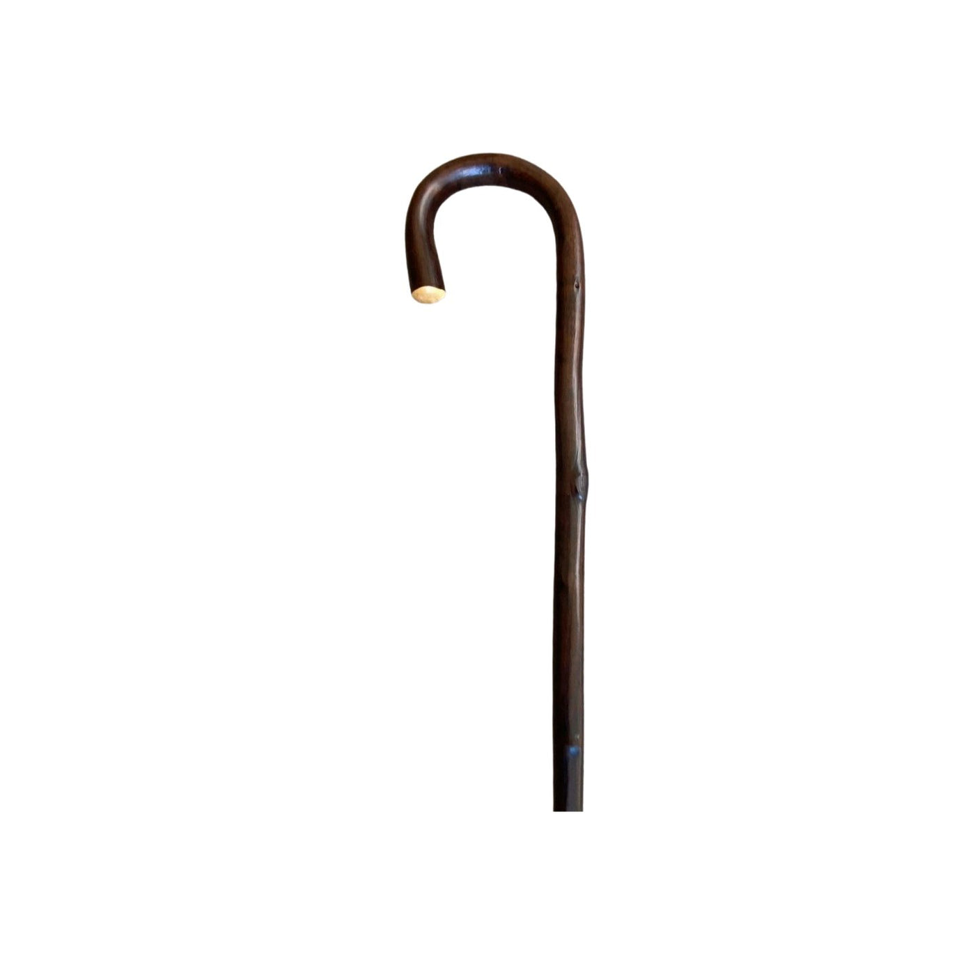 Walking Cane - Handcrafted Chestnut Timber | Mobility Plus NZ